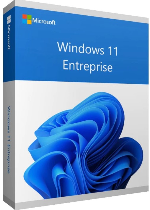 Windows 11 Enterprise lifetime license key advanced security